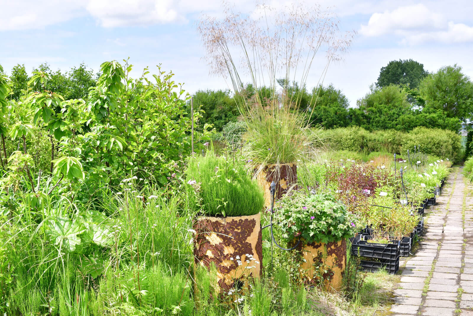 Alles op zijn tijd - Buitenleven