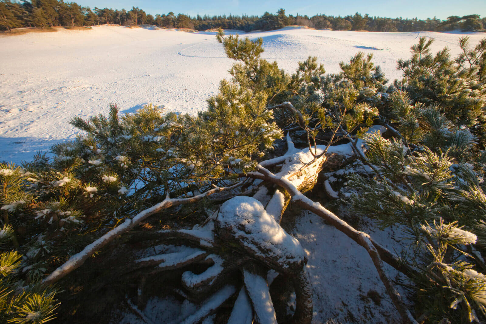 De natuur in: Magische microwereld – Buitenleven