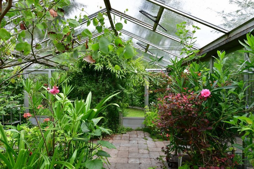 Wilde Engelse tuin in Drenthe