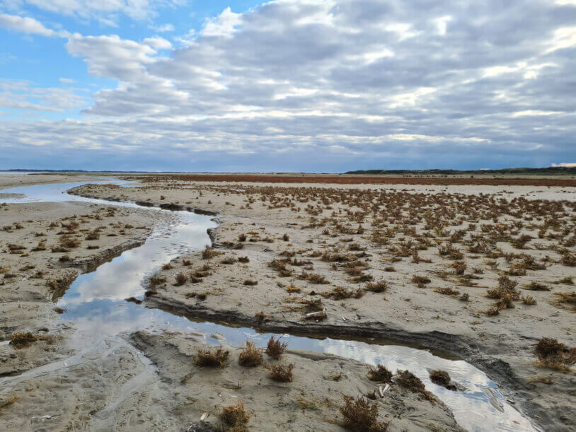De natuur in: De ruige rand van Nederland
